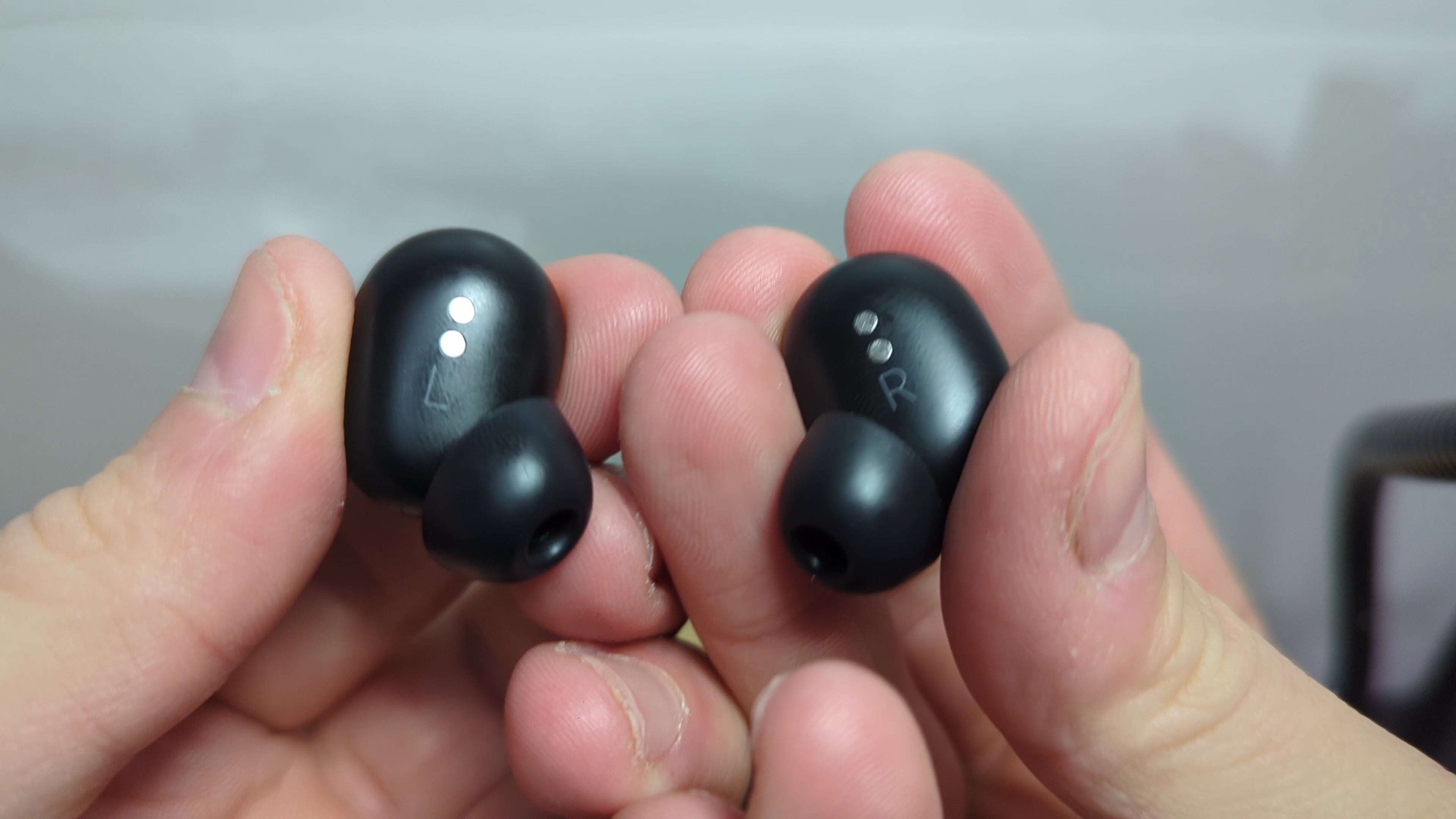 Google Pixel Buds Pro Wings (3D Printed) – WhoUpstairs Studio